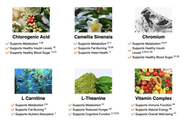 Java Burn Coffee Reviews: Best Weight Loss Supplement?